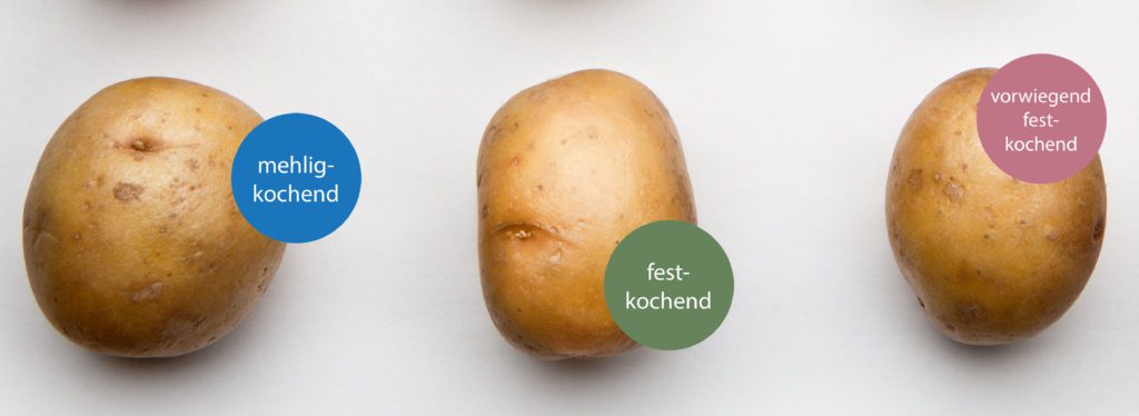 Rund um die Kartoffel | Die Bayerische Kartoffel